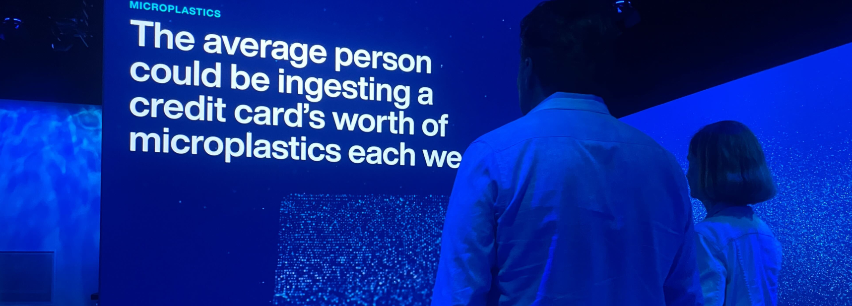 Turning the Tide on Plastic Pollution: Lessons from The Blue Paradox